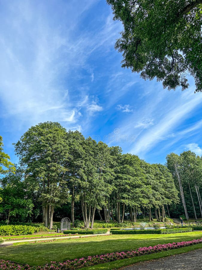 Palanga Birute Park Summer View Stock Photo - Image of green, trees ...