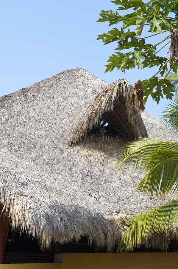 Palapa Roof stock photo. Image of construction, mexican - 4760046