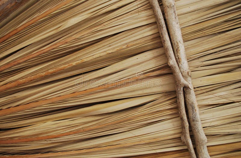 Palapa texture background stock image. Image of rustic - 39228649