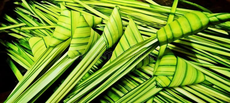 Palas Katupat Stock Photos - Free & Royalty-Free Stock Photos from ...