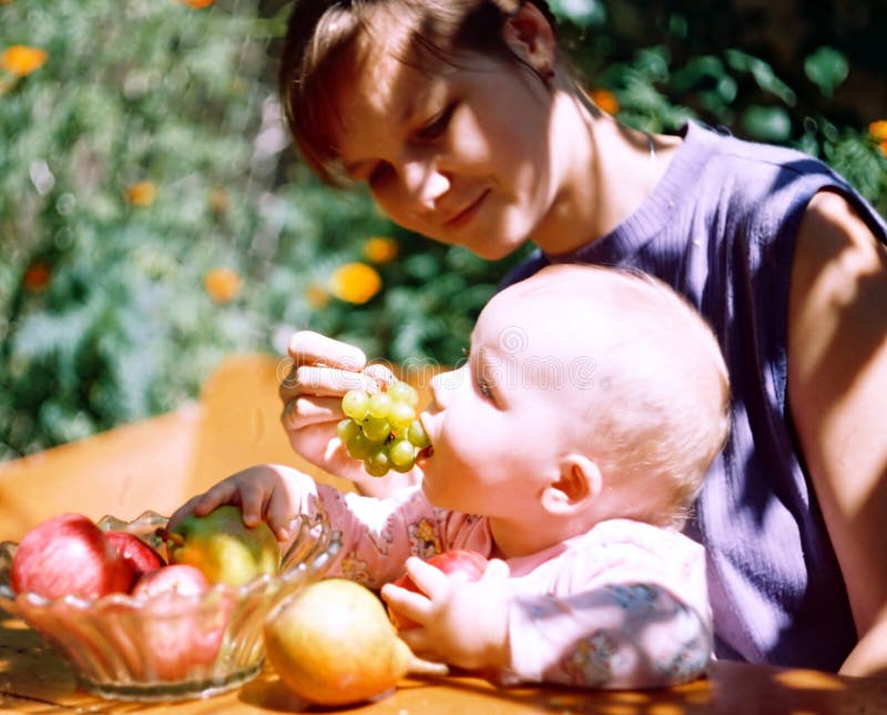 Palatable stock image. Image of garden, apple, affectionate - 1979583