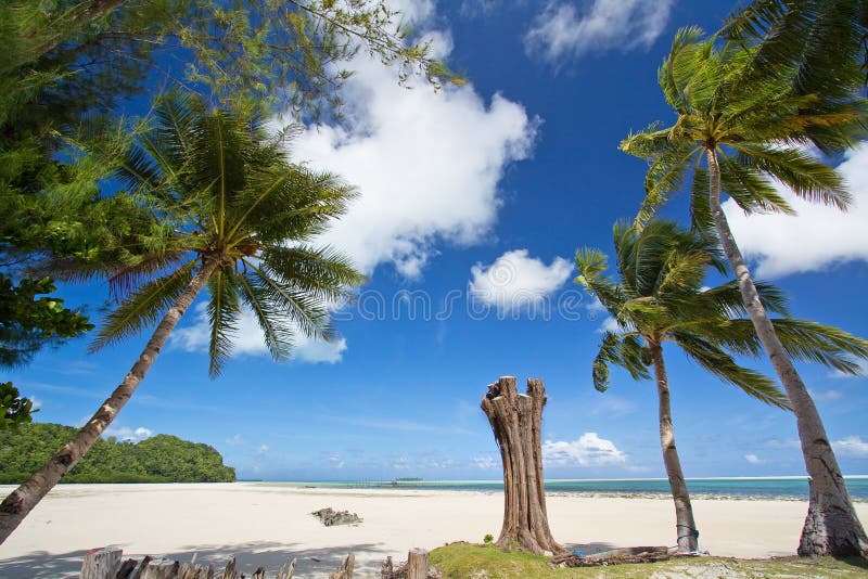 Palau beach stock image. Image of palau, sand, blue, crystal - 40110965