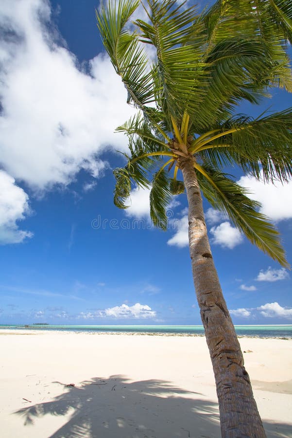 Palau beach stock image. Image of palau, sand, blue, crystal - 40110965