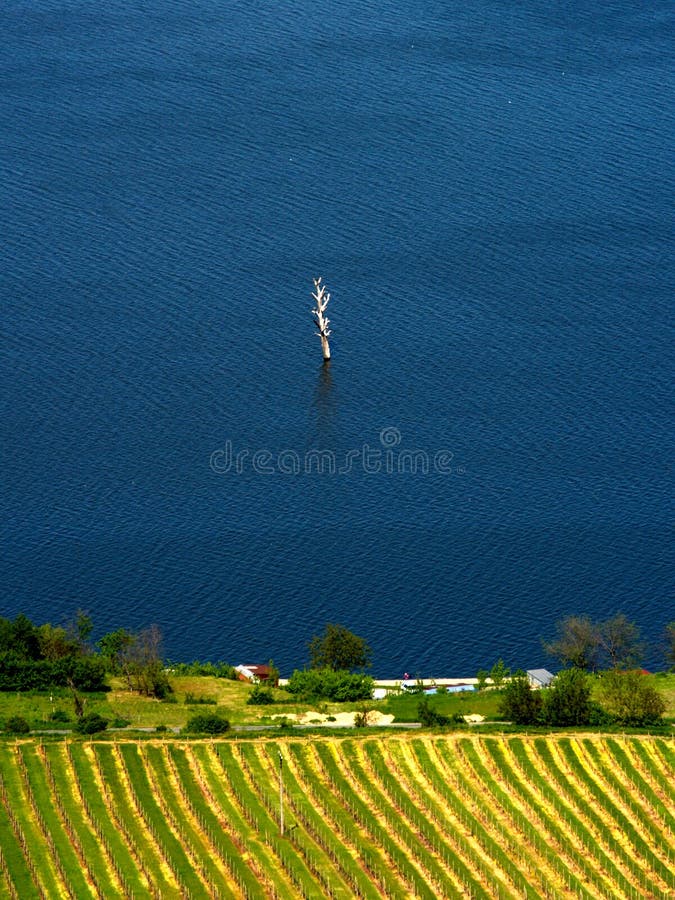 Palava - Czech Republic stock photo. Image of blue, trees - 14480704
