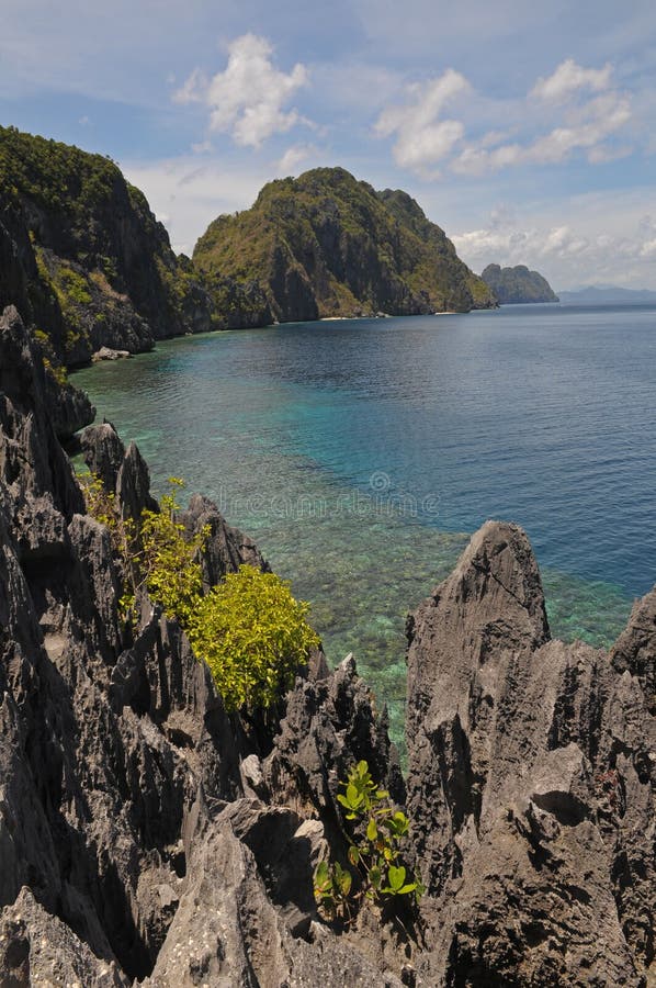 Palawan Island stock image. Image of place, coast, nature - 23173615