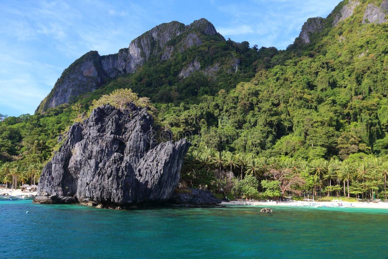 Palawan island beach stock image. Image of tree, beautiful - 217380745