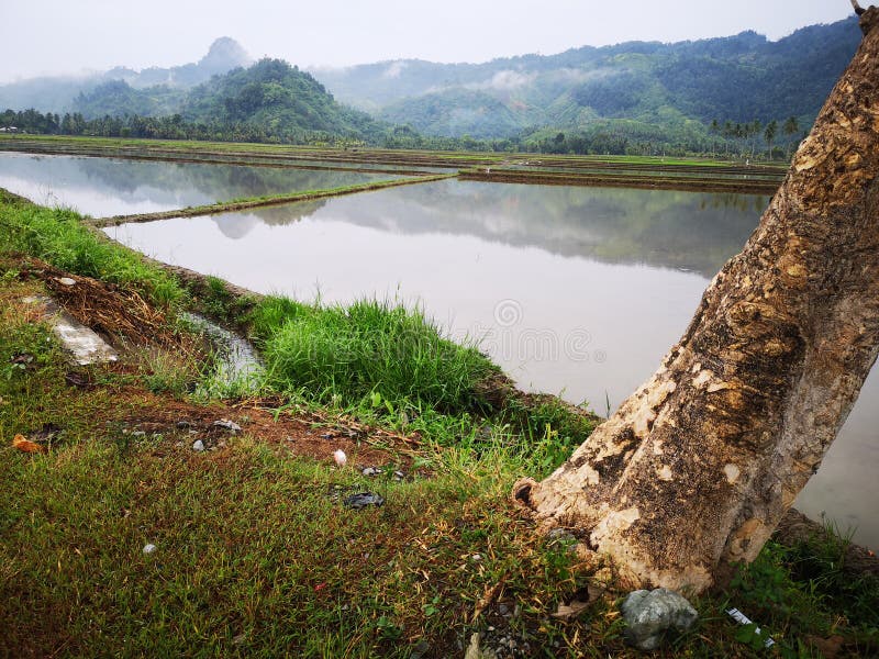 Palayan Drawing Stock Photos - Free & Royalty-Free Stock Photos from ...