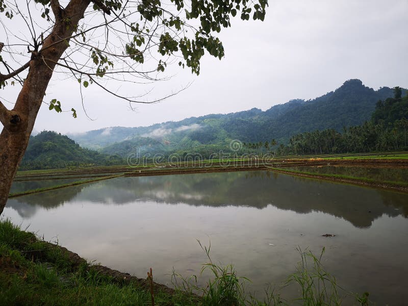 Palayan2 Stock Photos - Free & Royalty-Free Stock Photos from Dreamstime