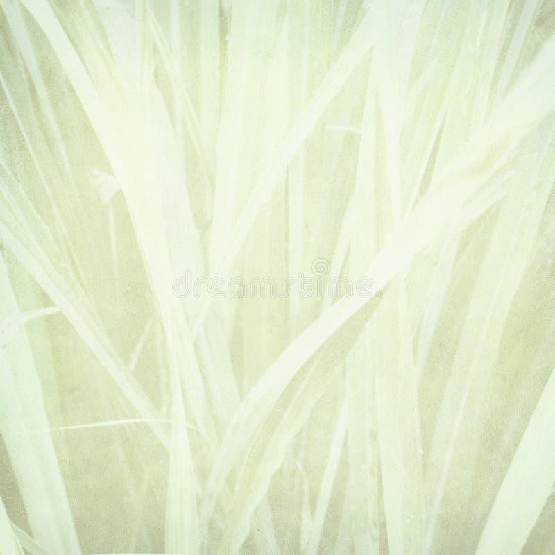 Handmade Grass Paper stock photo. Image of backgrounds - 223496