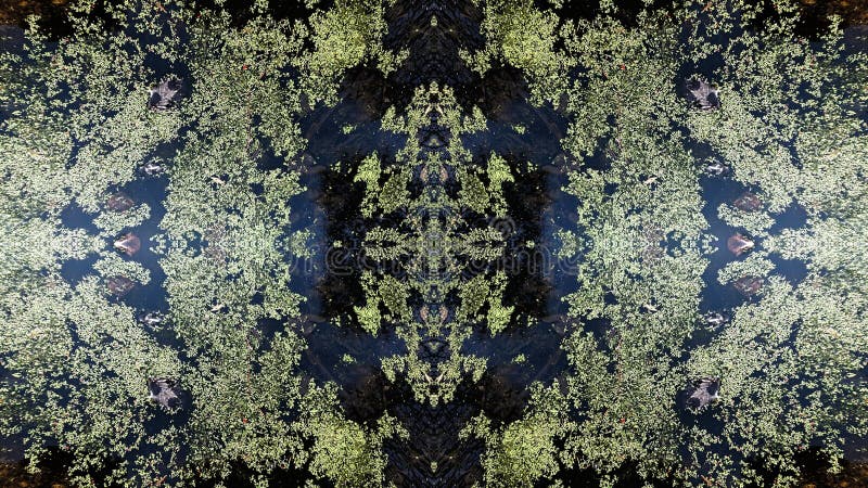 Pale Green Abstract Background Shapes Textured Blurred Illustrations ...