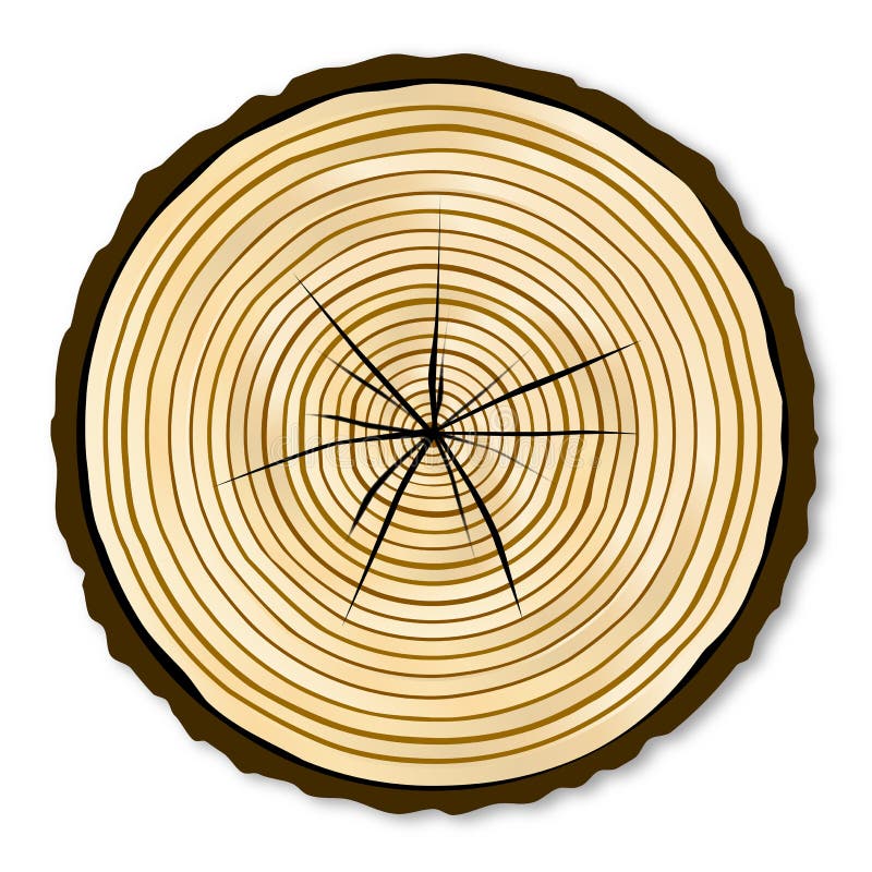 Pale Log End stock vector. Illustration of vector, pale - 94998002