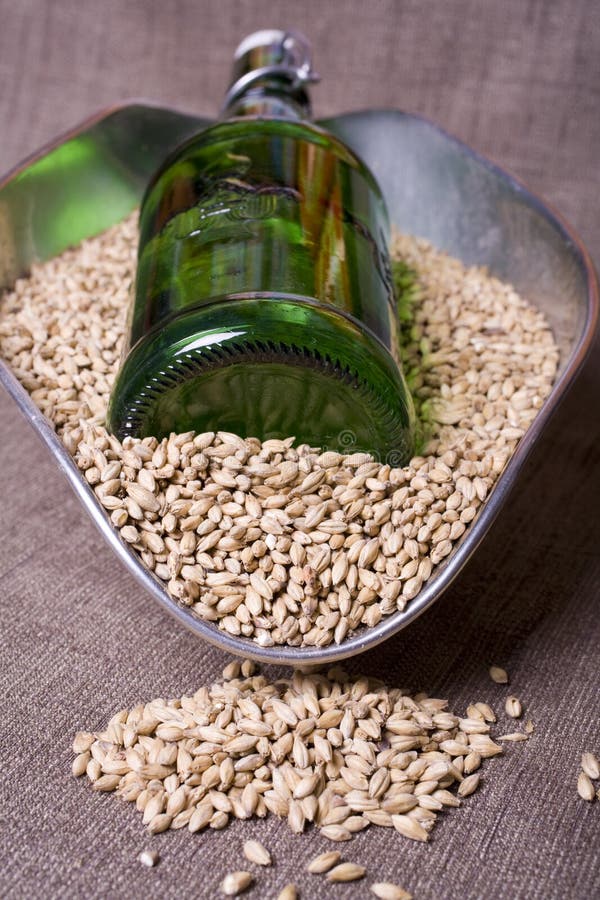 Pale Malt and Bottle stock image. Image of malted, alcohol - 9426343