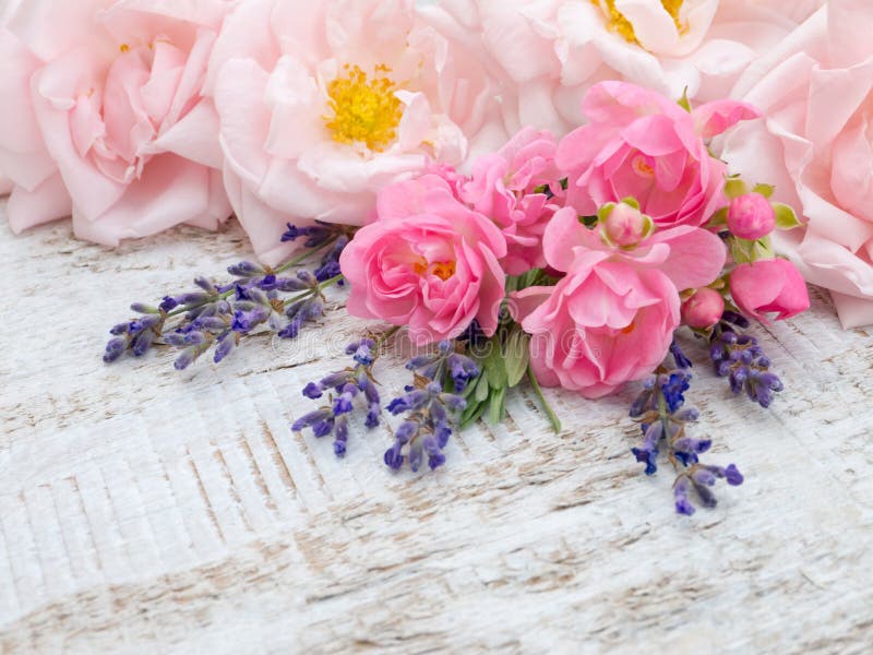 Pale Pink Roses and Lavender Bouquet Stock Image - Image of spring ...