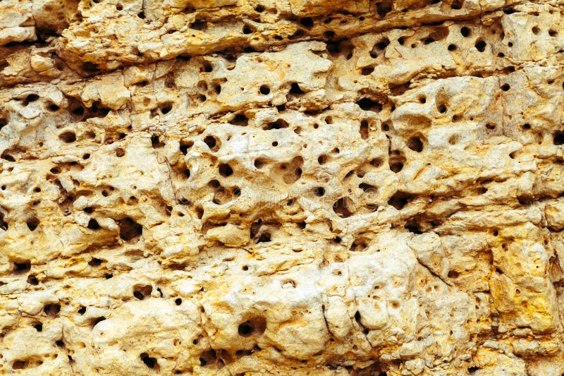 Pale Rock with Porous Texture, Top View Stock Image - Image of ...