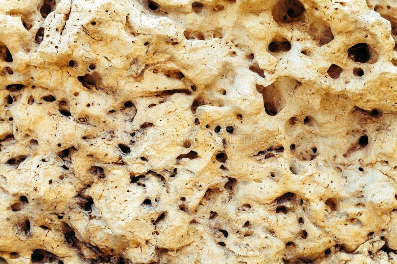 Pale Rock with Porous Texture, Top View Stock Photo - Image of view ...