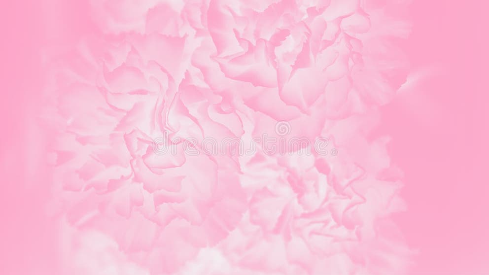 Pale Pink Abstract Background. Floral Gradient Background, Delicate ...