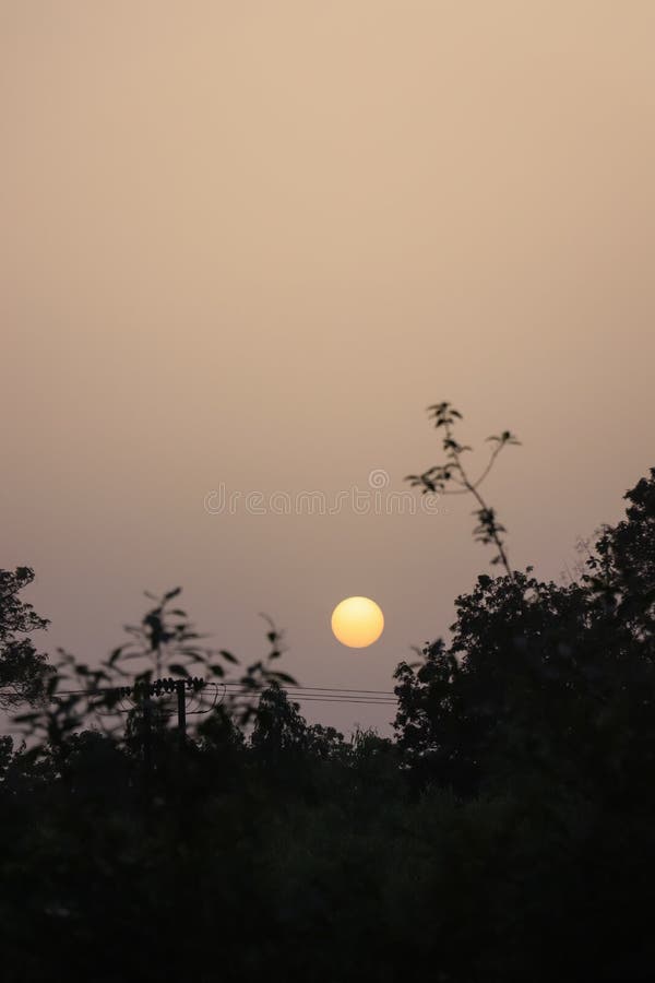 Pale Sun during Summer Sunset Stock Photo - Image of beautiful, trees ...