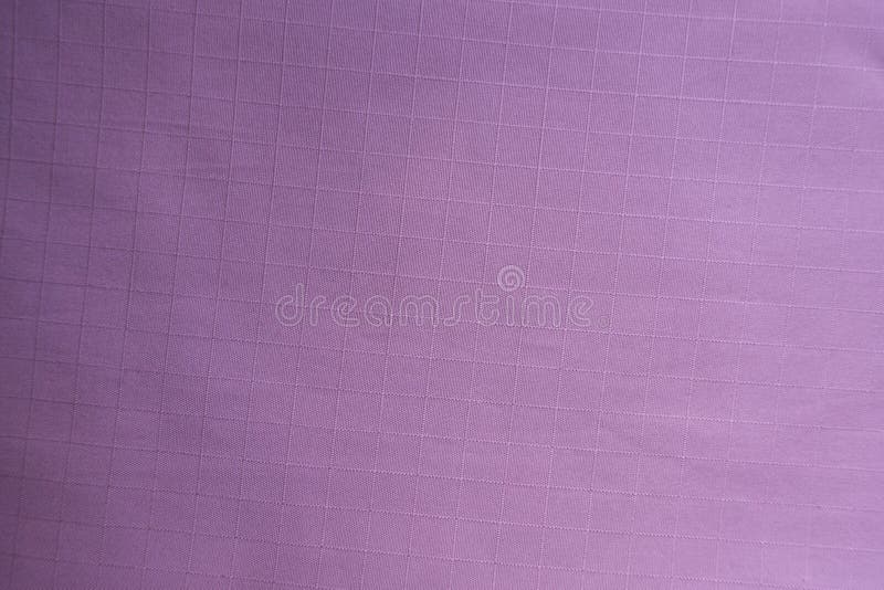 Bed of Pale Violet Butterfly Iris Flowers Stock Photo - Image of ...