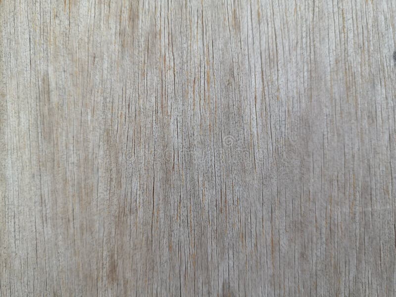 Pale wood flooring stock photo. Image of flooring, pale - 172311124
