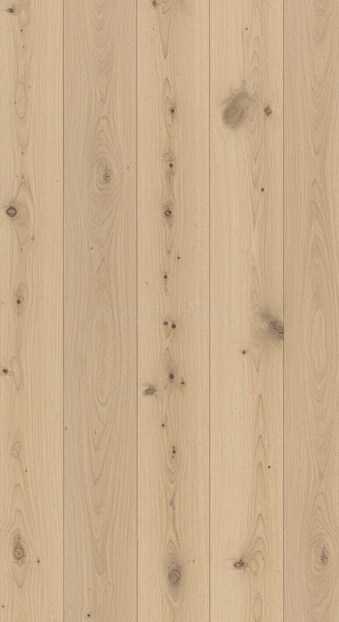 Pale Wood Surface with Natural Lines and a Smooth, Clean Appearance ...