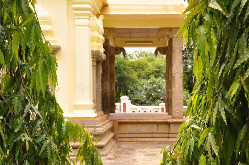 Pale Yellow Temple and Beautiful Leaves Stock Image - Image of ...