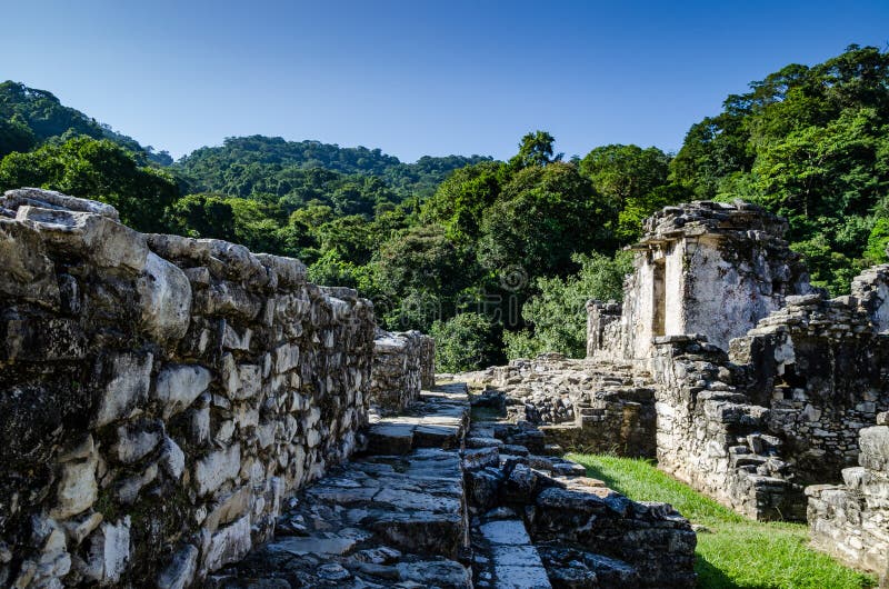 Palenque ruins stock image. Image of history, maya, jungle - 62362781