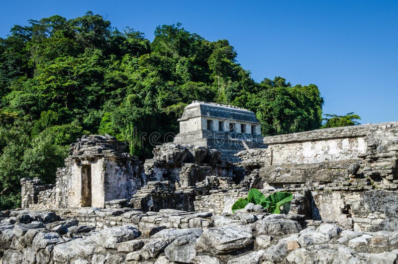 The Palenque ruins, Mexico stock image. Image of culture - 246055359