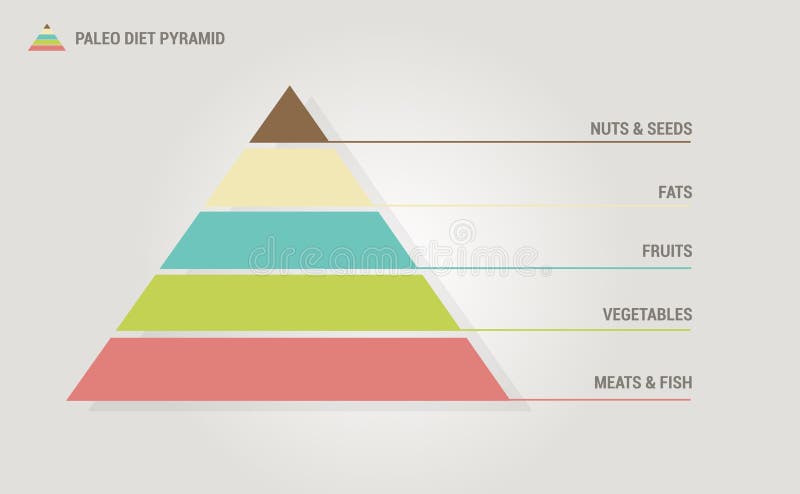 Paleo diet pyramid stock vector. Illustration of fish - 62826596