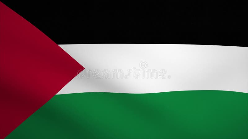 Palestine Waving Flag 2D Animation on Green Screen Background. Looping ...