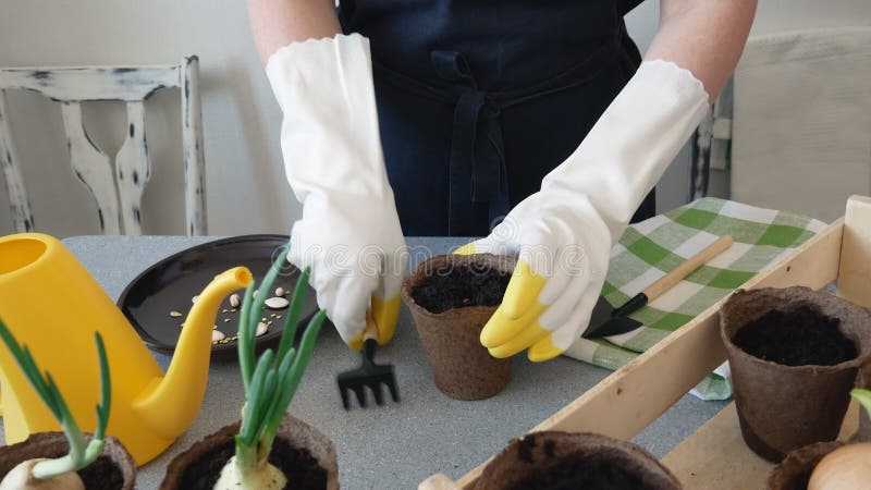 Palette Color Maps for Determining Color. Reference Book of Paint ...