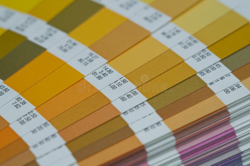 Palette of Color Shades. a Sample of the Chromaticity of the Colors ...