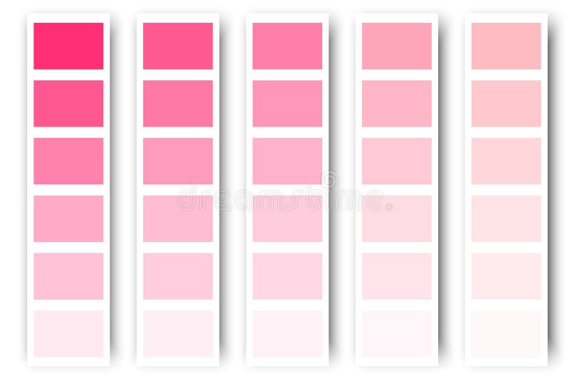 Palette De Couleurs Rose. Texture Pastel Rose. Illustration Vectorielle ...