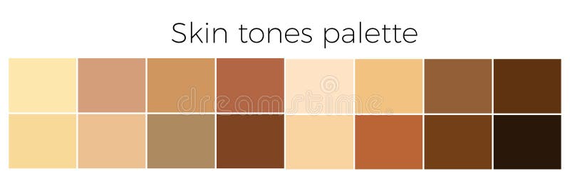 Palette De Couleurs. Teintes De Peau Humaine Illustration de Vecteur ...