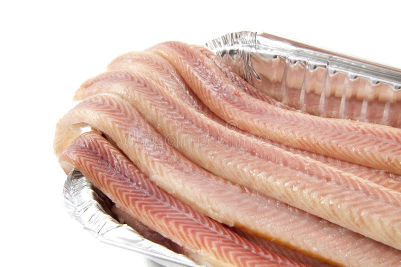 Paling Fish Stock Photos - Free & Royalty-Free Stock Photos from Dreamstime