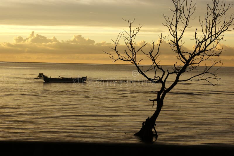 Palippi Beach at Majene Indonesia Stock Photo - Image of indonesia ...