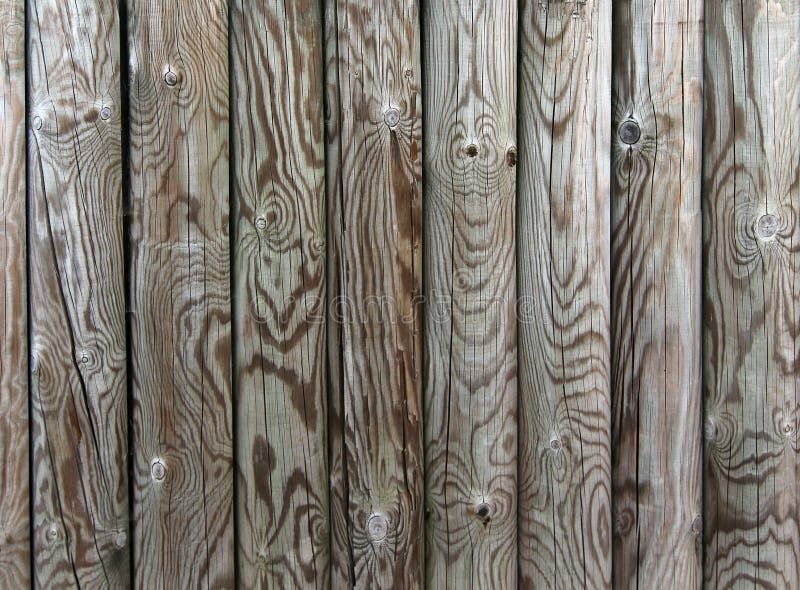 Palisade Fence stock photo. Image of pales, barrier, protection - 2856886