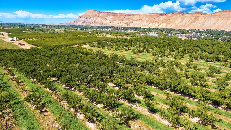 Palisade Peach Farms with Highway and Large Tan Mountains Stock Photo ...