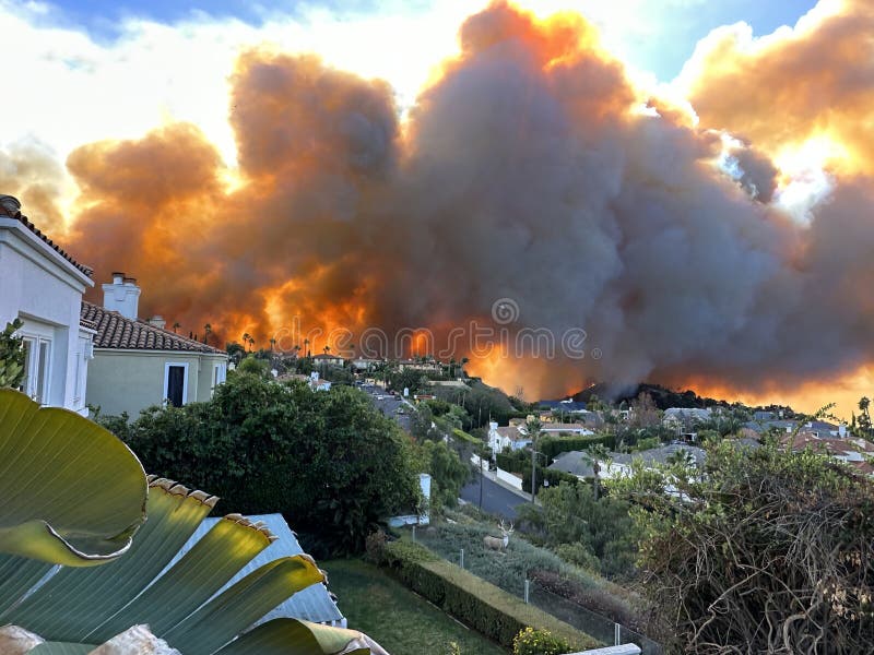 Palisades Fire stock image. Image of screenshot, soil - 354806427