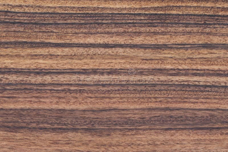 225 Palisander Tree Stock Photos - Free & Royalty-Free Stock Photos ...