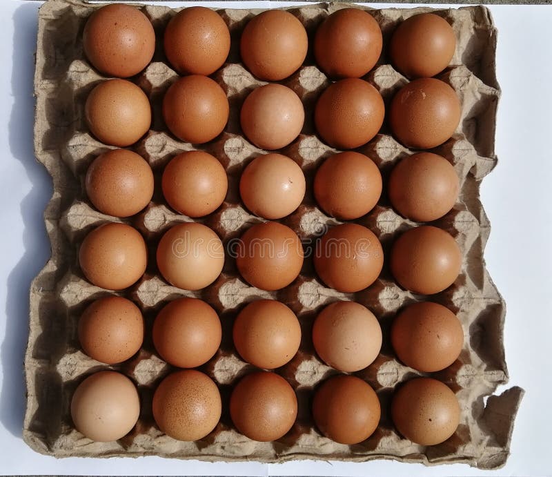 A Pallet with Group of Brown Eggs Stock Photo - Image of eggs, food ...