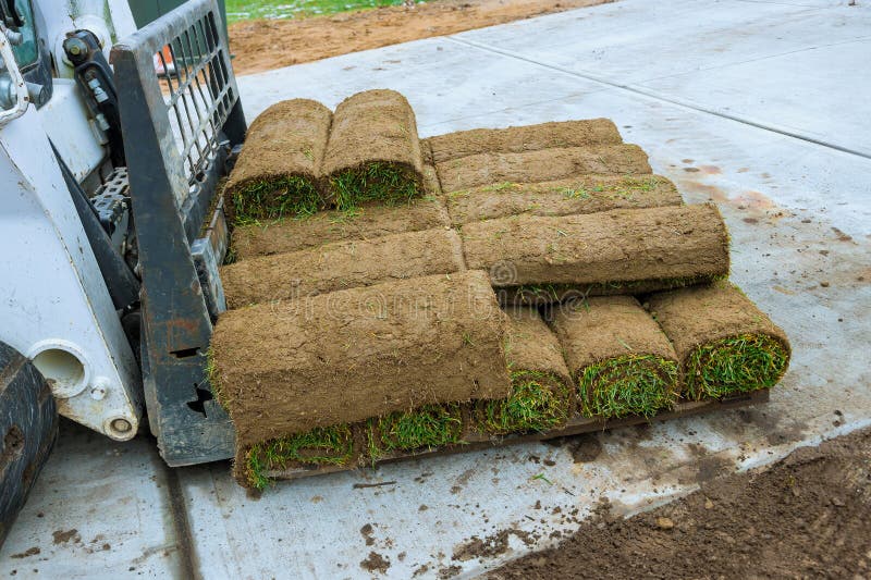 Pallet with Stack of Turf Grass Rolls Fresh Grass Rolls Stacked To ...