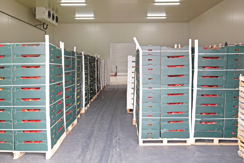 Food at Pallets stock photo. Image of food, produce - 178217526