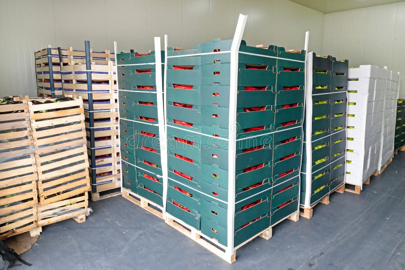 Pallets of Food stock image. Image of fruit, produce - 186538883