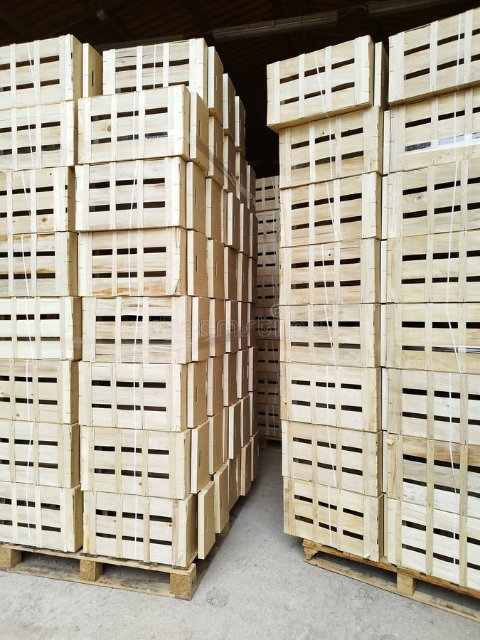 Yolanda Pons santotomas (Yoposa72) - Photographer profile