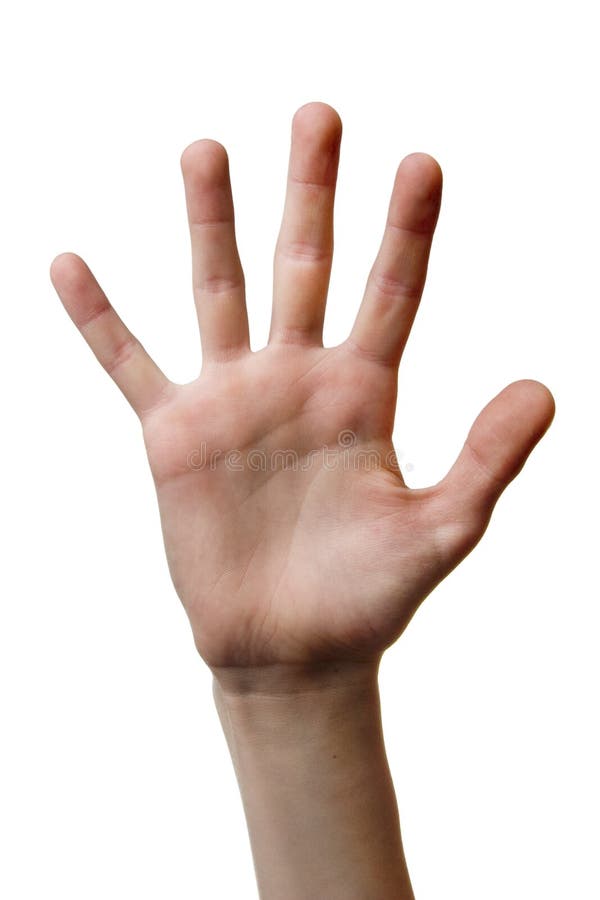 895 Childs Palm Photos - Free & Royalty-Free Stock Photos from Dreamstime