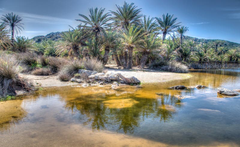 The Palm Beach at Vai, Crete Stock Photo - Image of vacation, crete ...