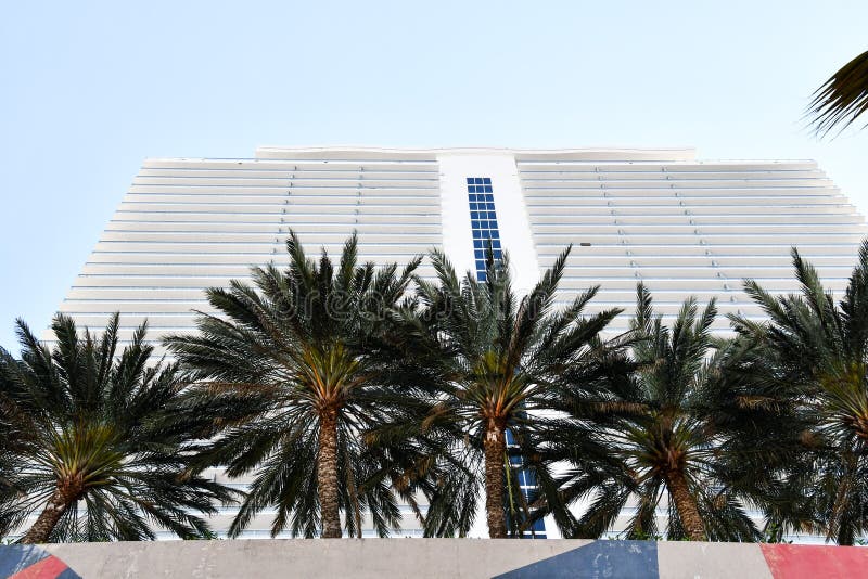 Palm and Buildings, Photo As a Background Stock Image - Image of ...