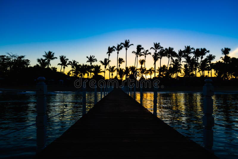 Palm dawn morning stock photo. Image of light, beach - 78477204