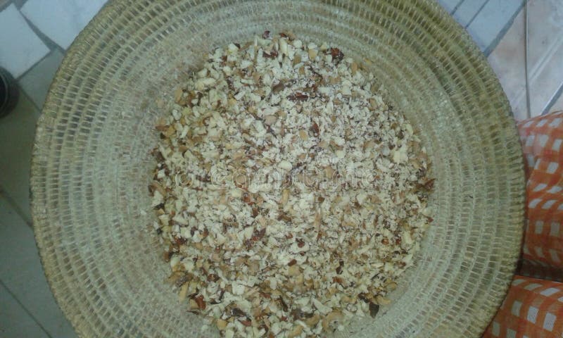 Palm fat stock photo. Image of traditional, tree, palm - 94605954