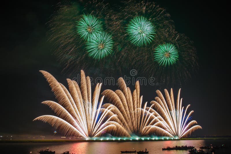 Palm Fireworks stock image. Image of fireworks, flower - 27791267